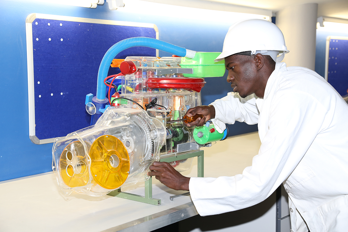 Engineering Studies Gallery - UNAM